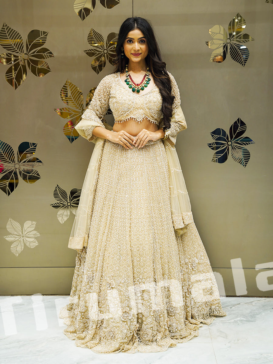 Beige Net Lehenga Set With Sequin Handwork – Tirumala Designers